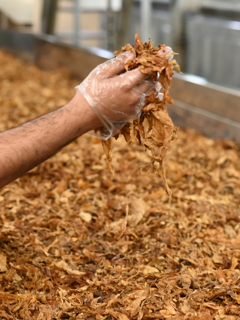 BAT Brasil - Nossos produtos