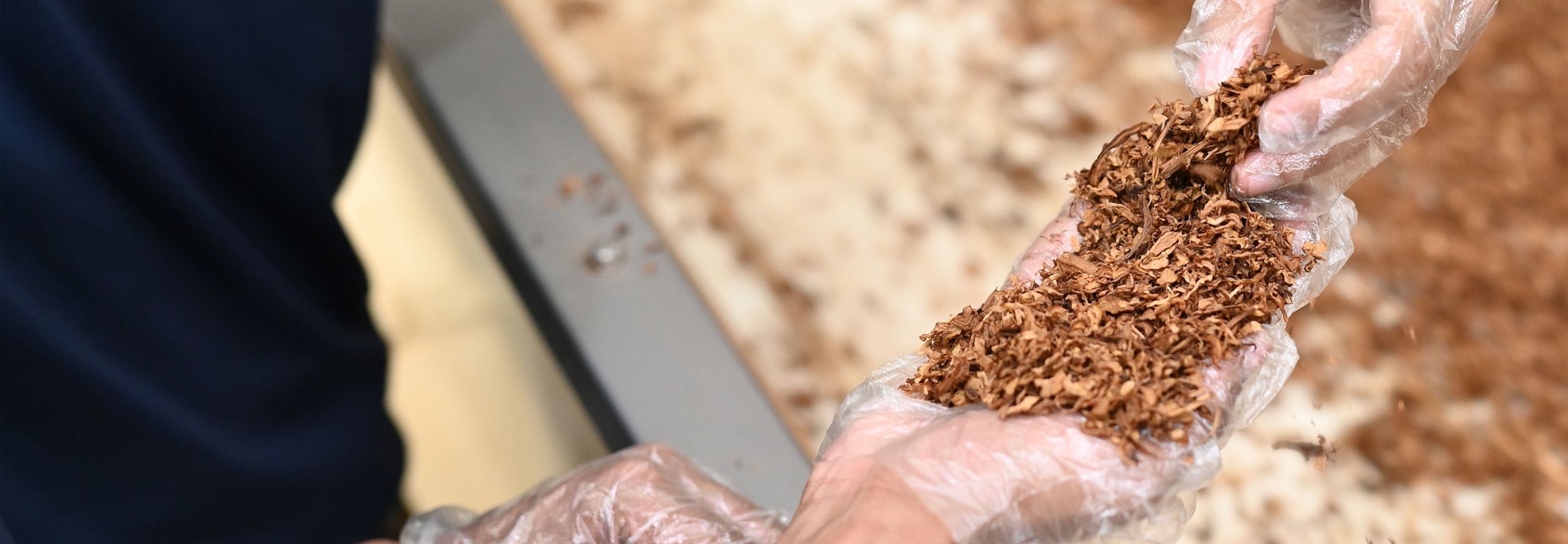 BAT Brasil - Tipos de tabaco